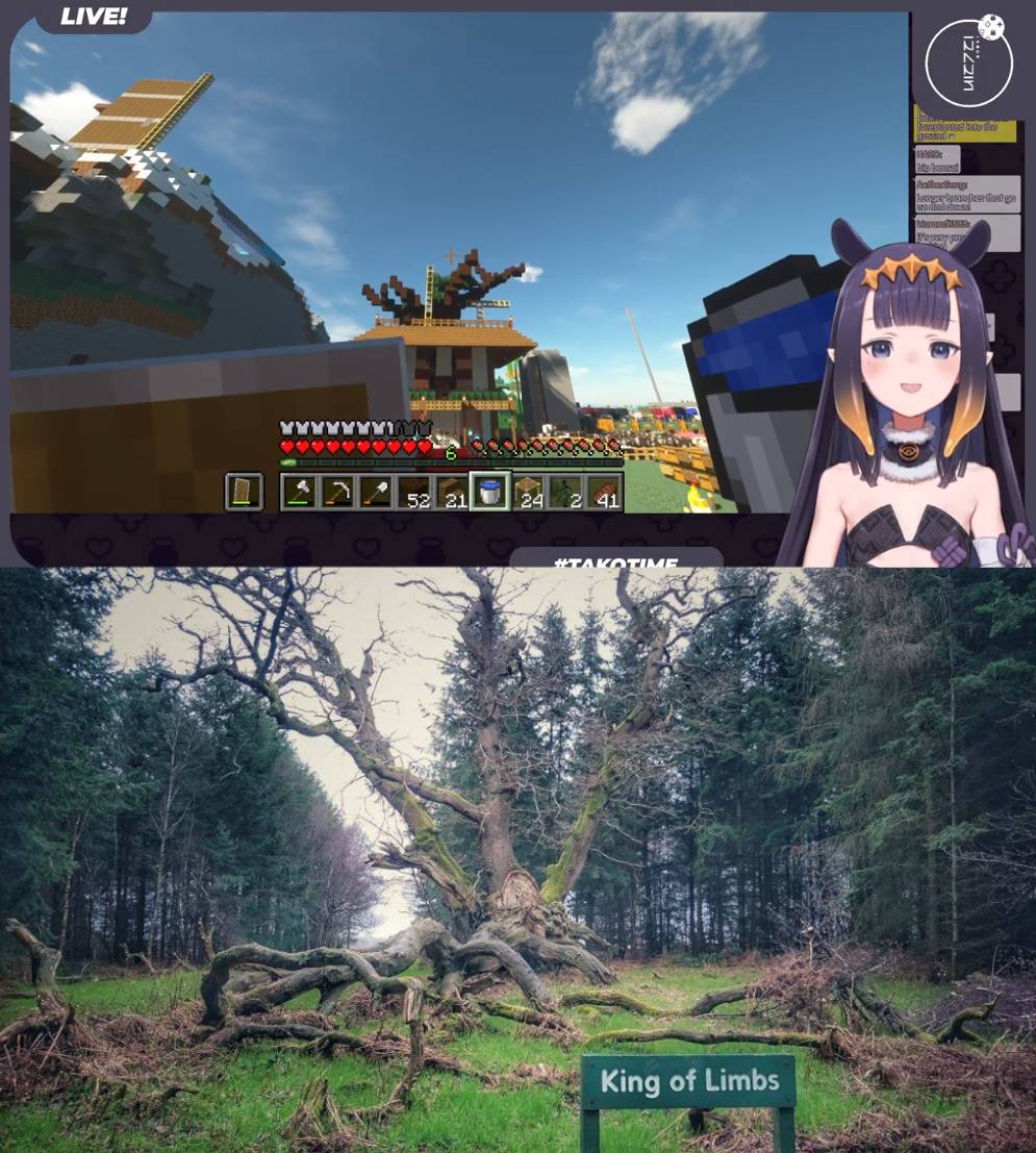 fittingly for a tako, it has become the king of limbs. | Scrolller