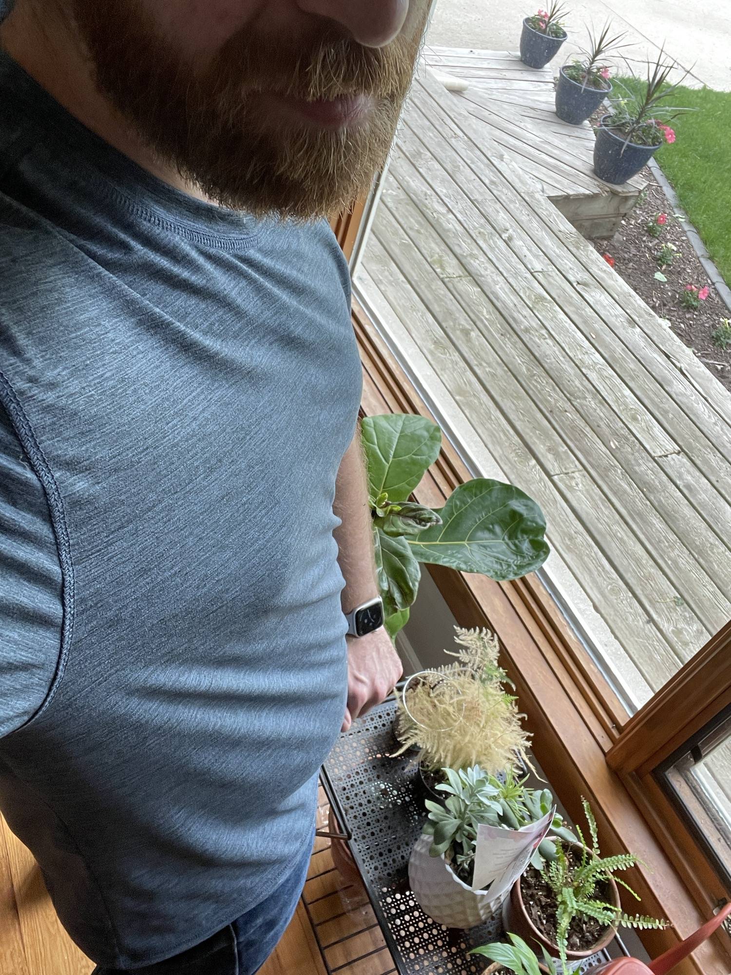 Flashing amongst the indoor jungle | Scrolller