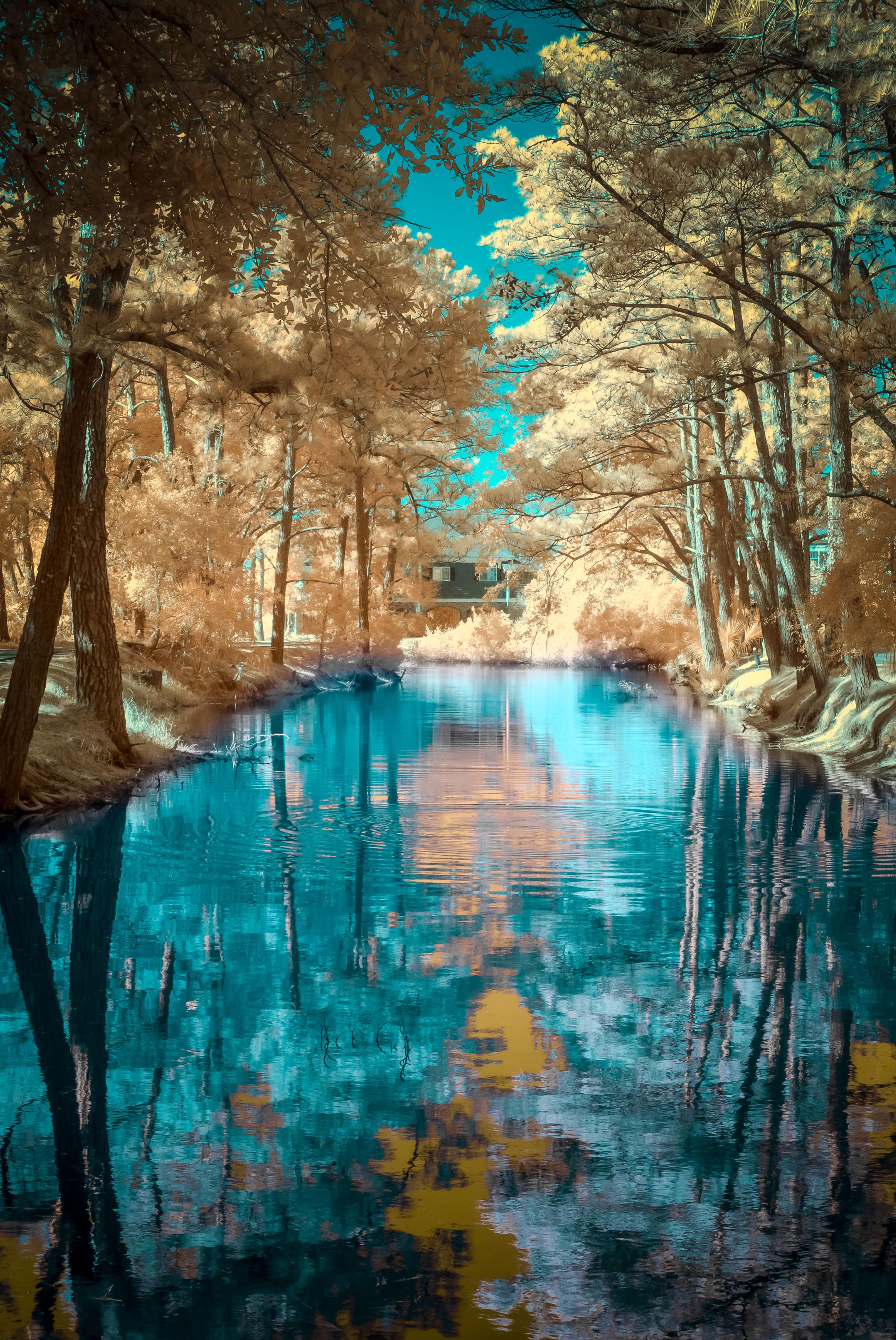 Flipping colors in the reflections = happy IR photographer | Scrolller