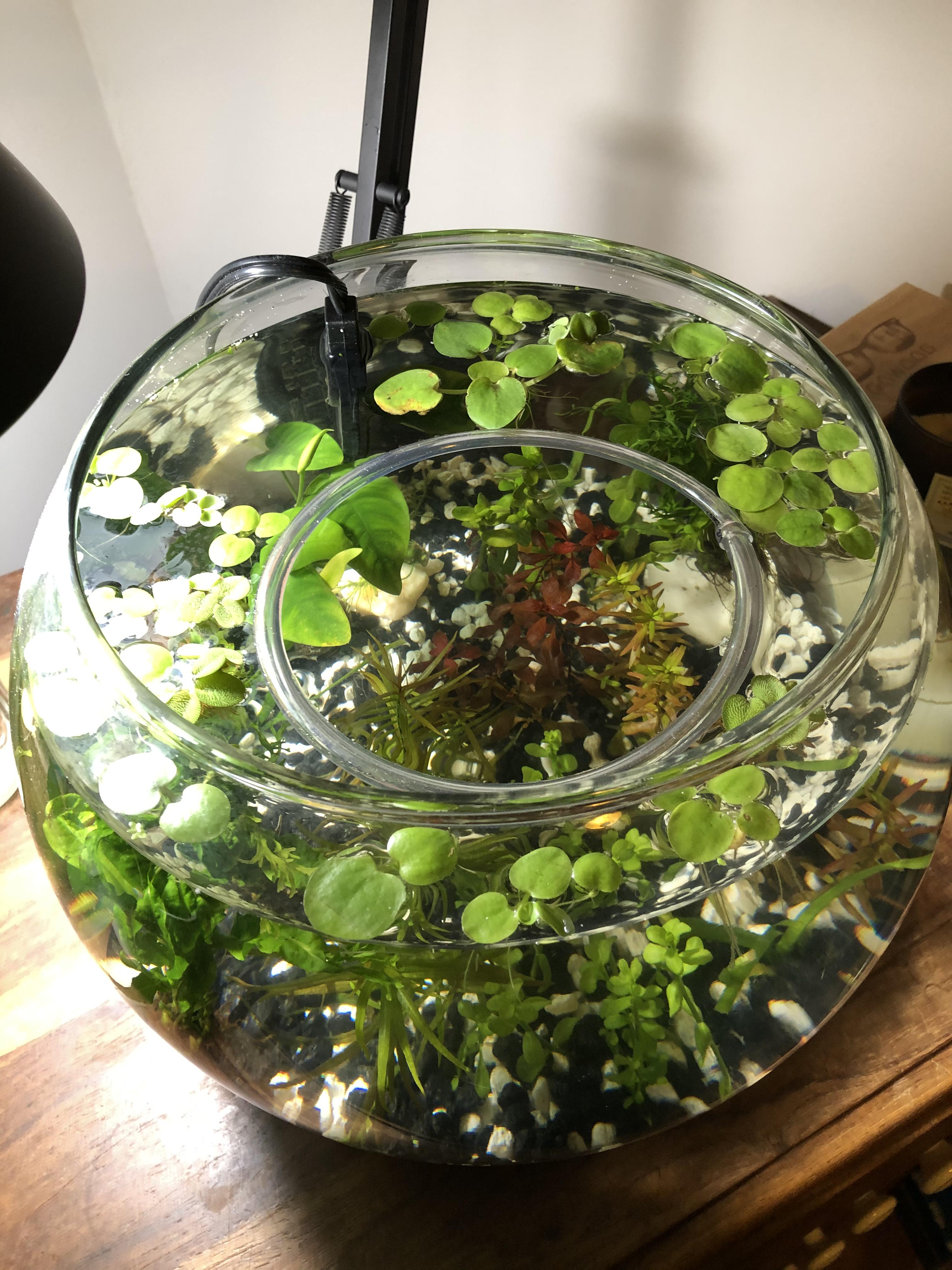 Floaters are in! | Scrolller