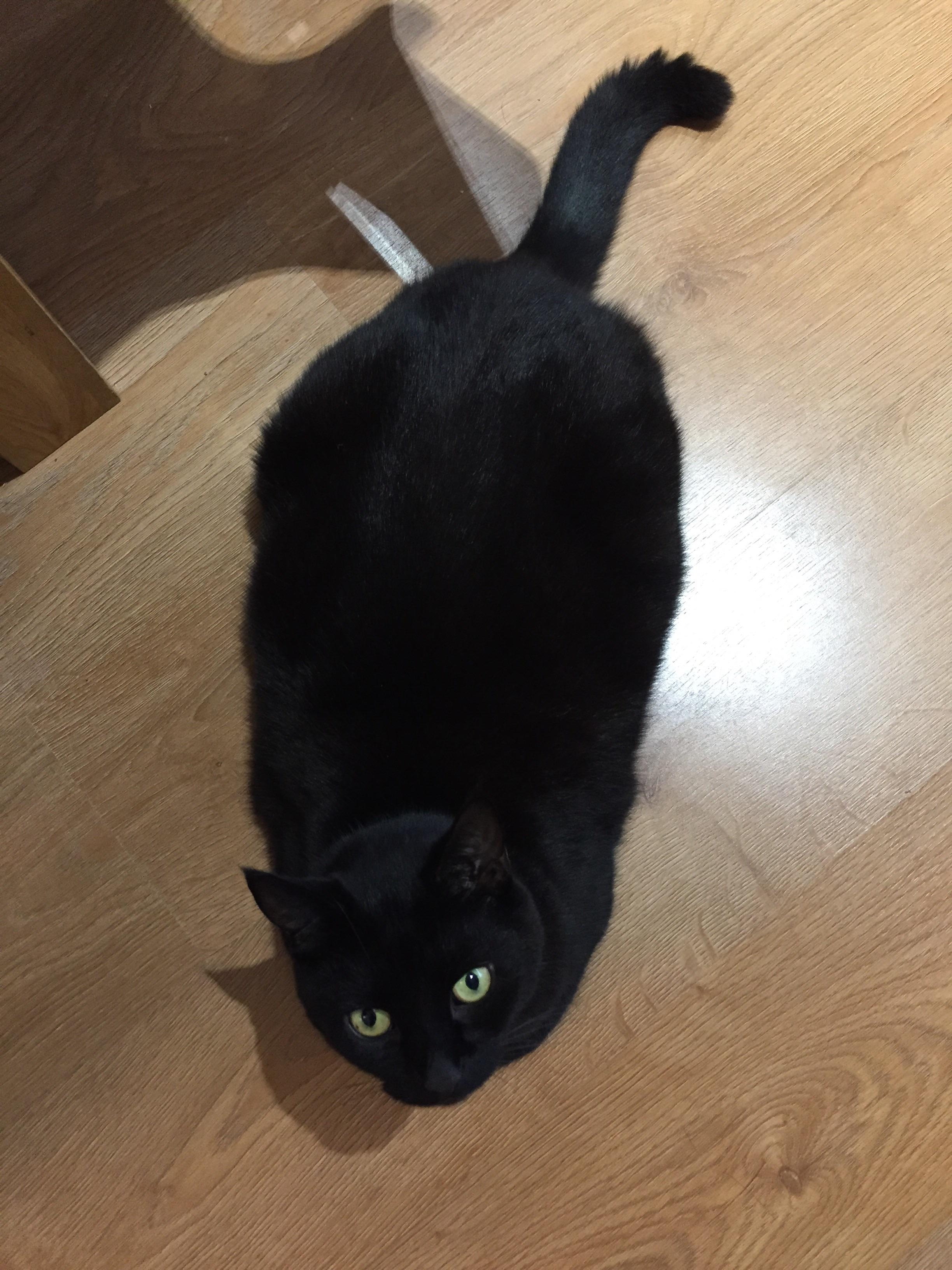 Floor Loaf | Scrolller