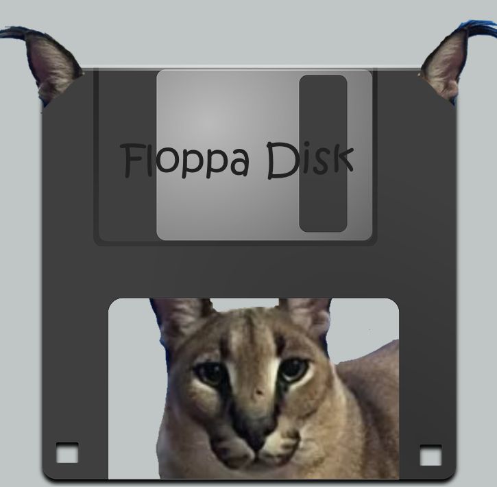 Floppa disk moment | Scrolller