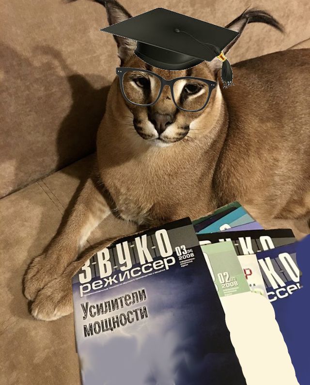 Floppa getting his education. Very wise. | Scrolller