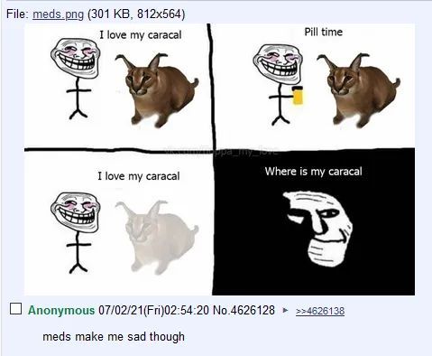 floppa where | Scrolller