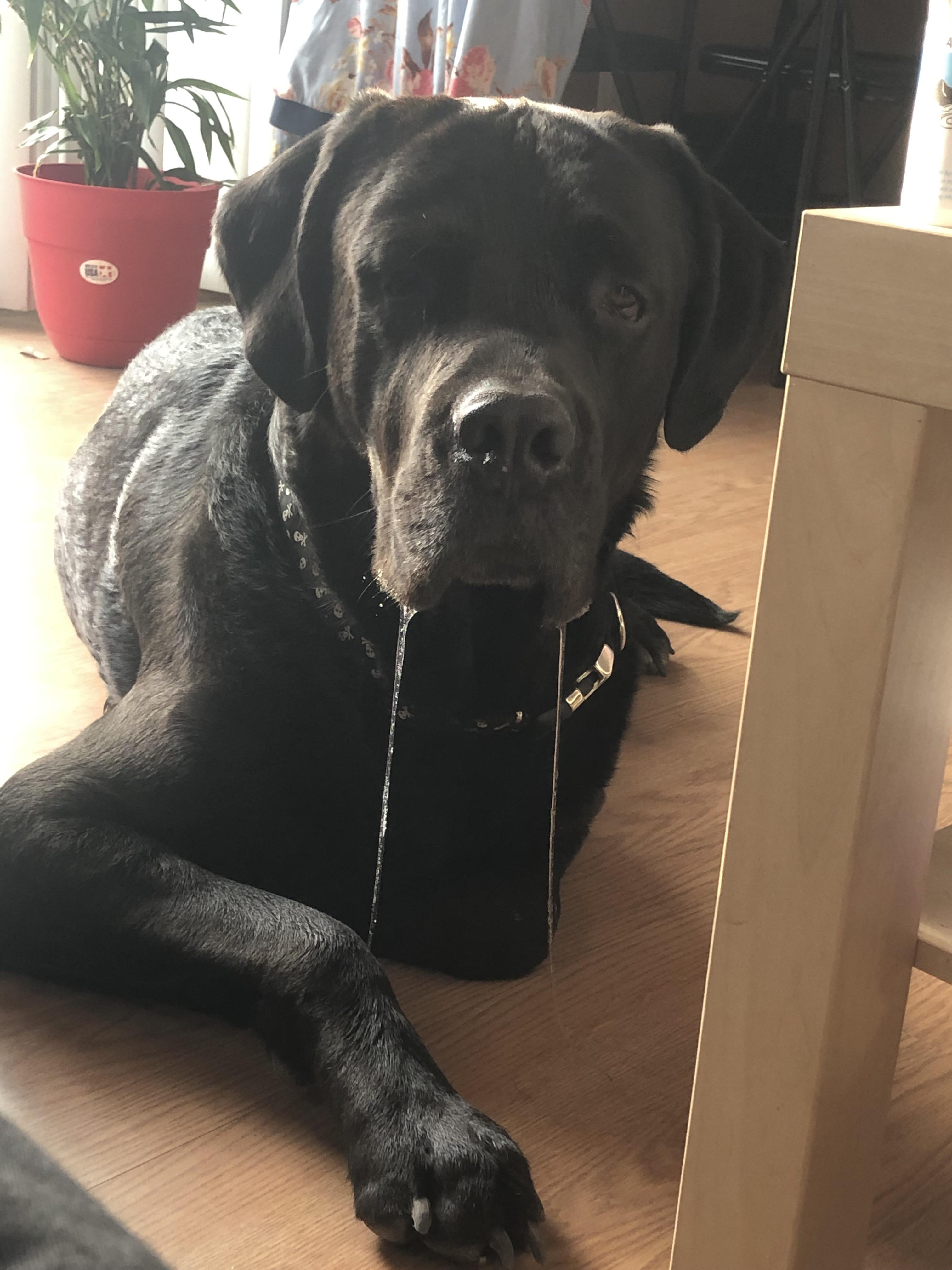 Floppy face problems. | Scrolller