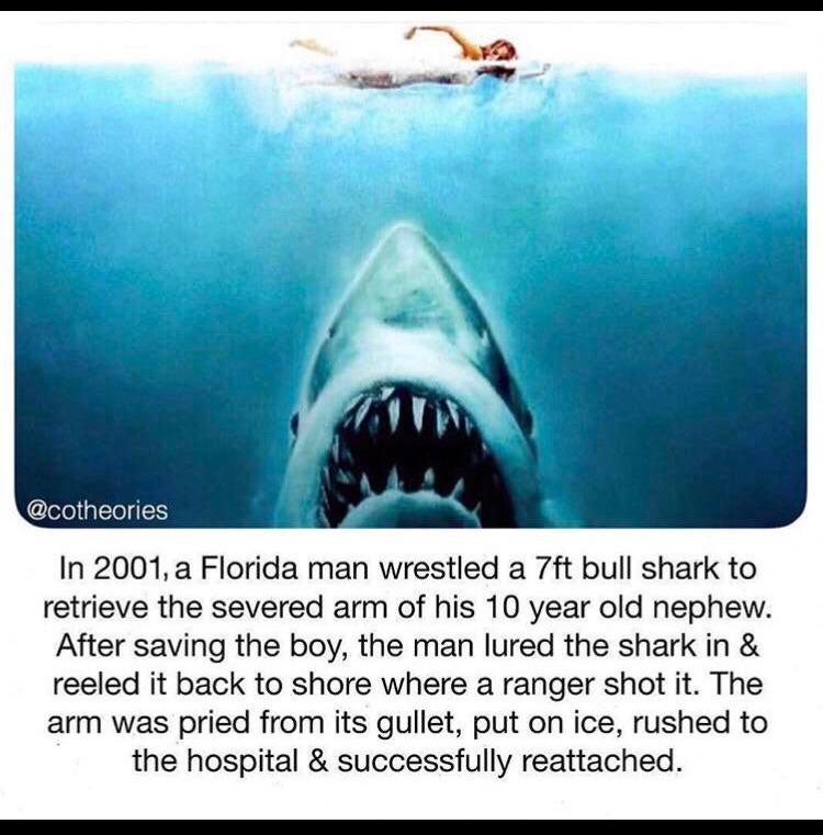 Florida Man | Scrolller