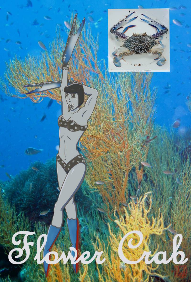 Flower crab | Scrolller