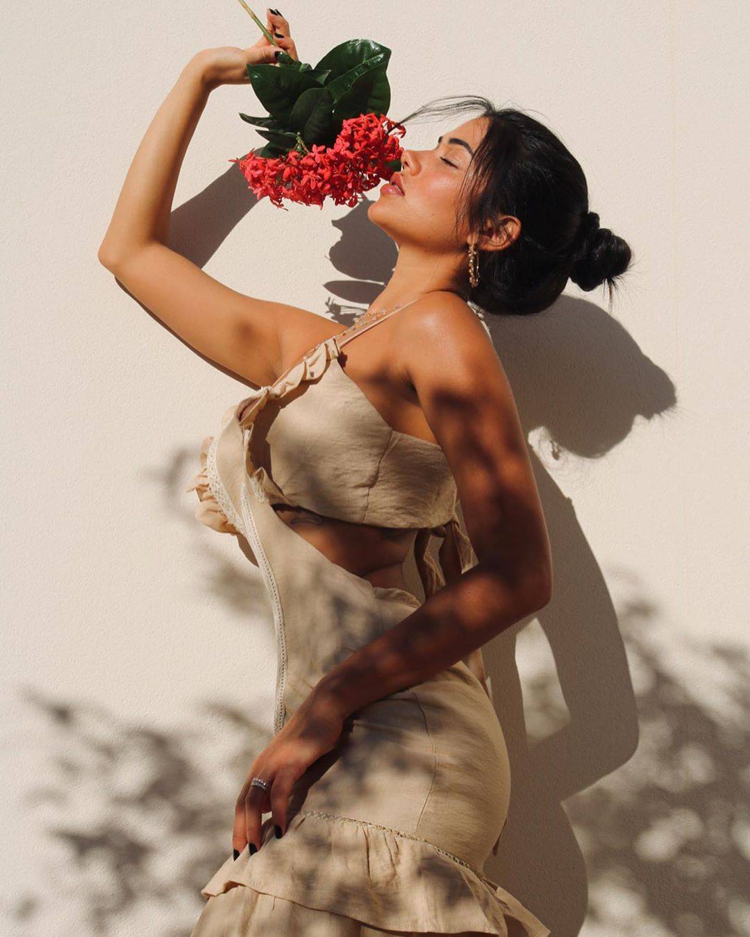 Flowers 1 | Scrolller