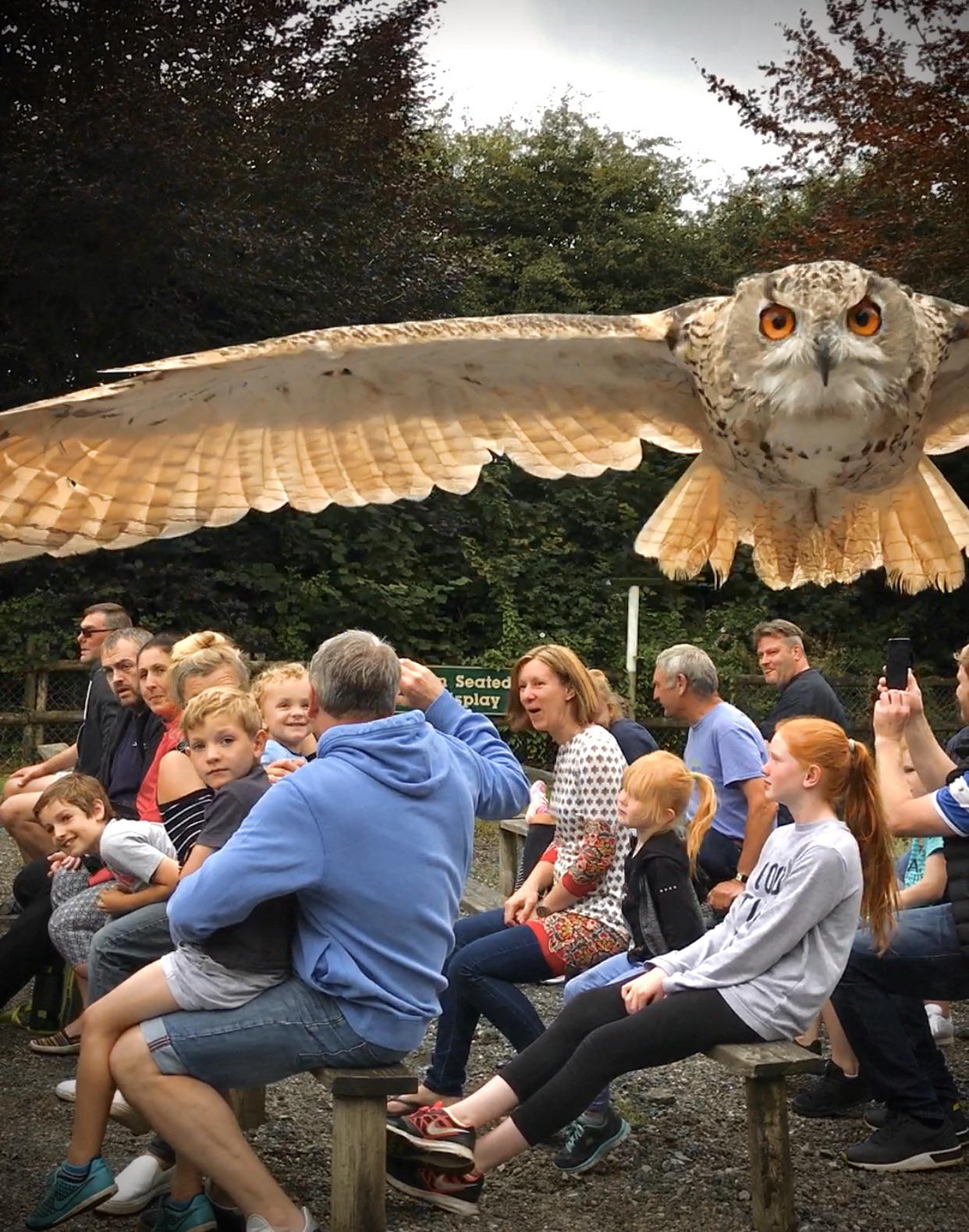 Fly by.... | Scrolller