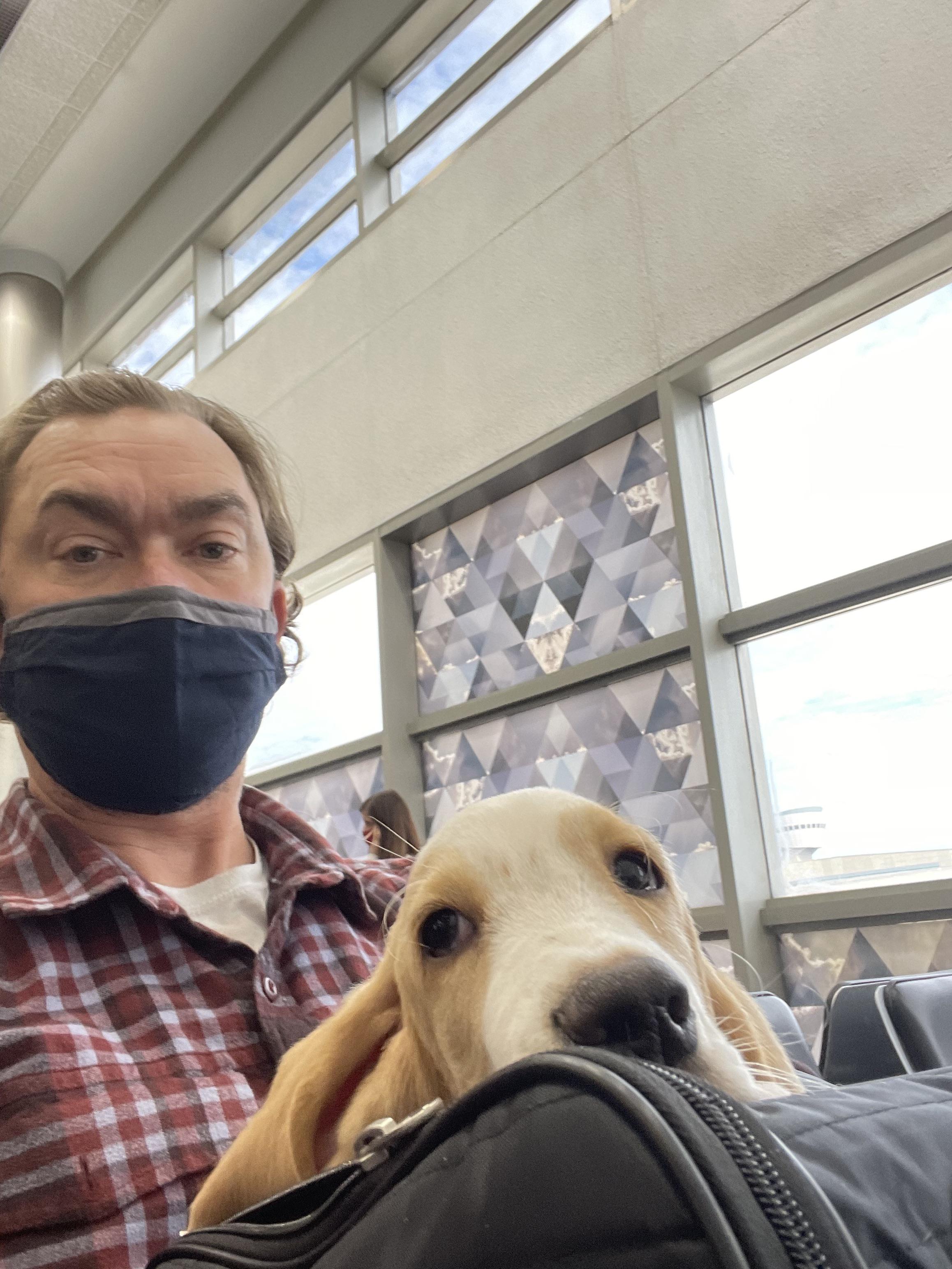 Flying home with new puppy | Scrolller
