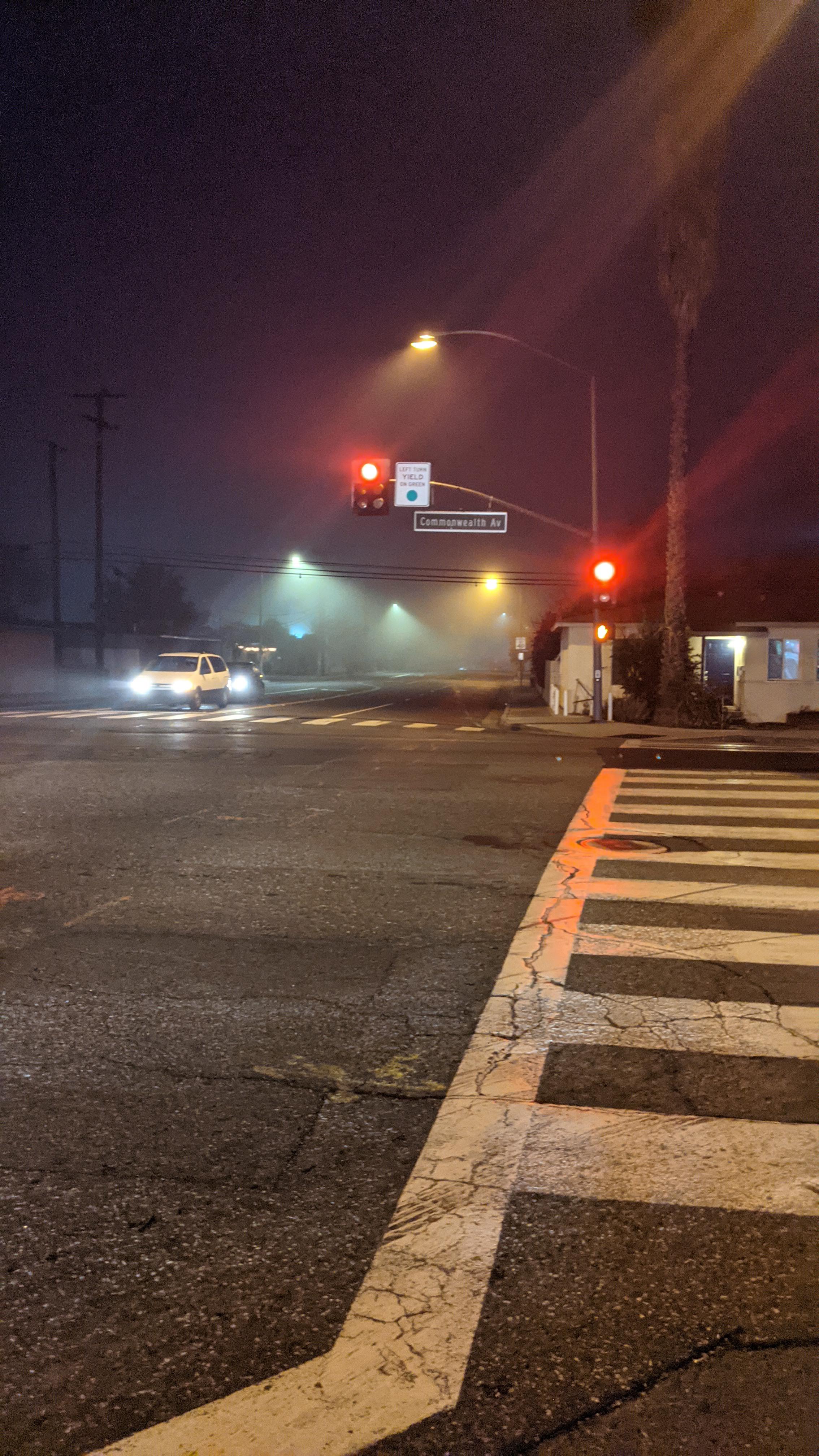 Foggy Walk To Work | Scrolller