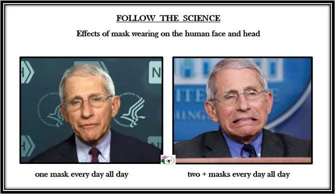 Follow the Science | Scrolller