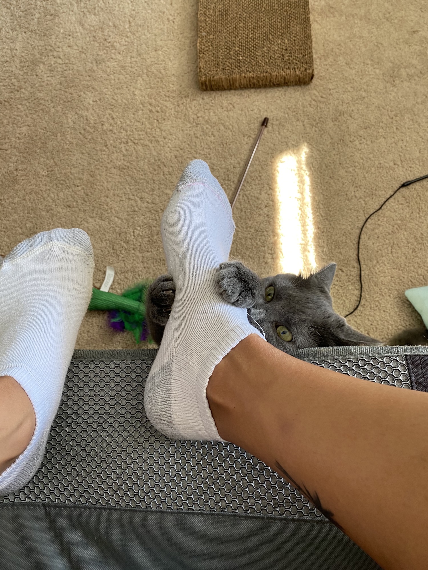 Foot goblin mode, engage. | Scrolller