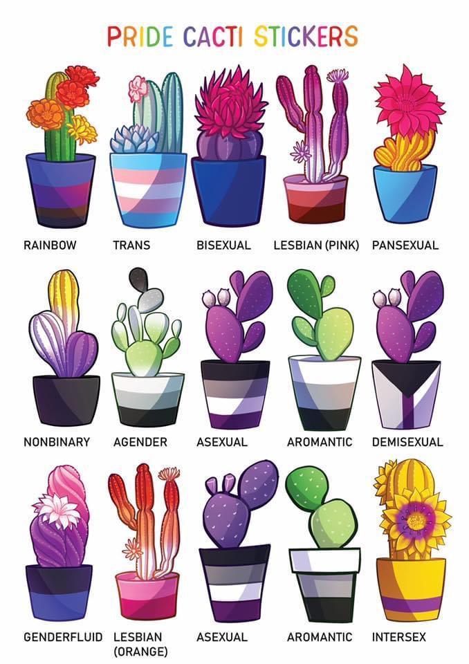 For the cactus lovers | Scrolller