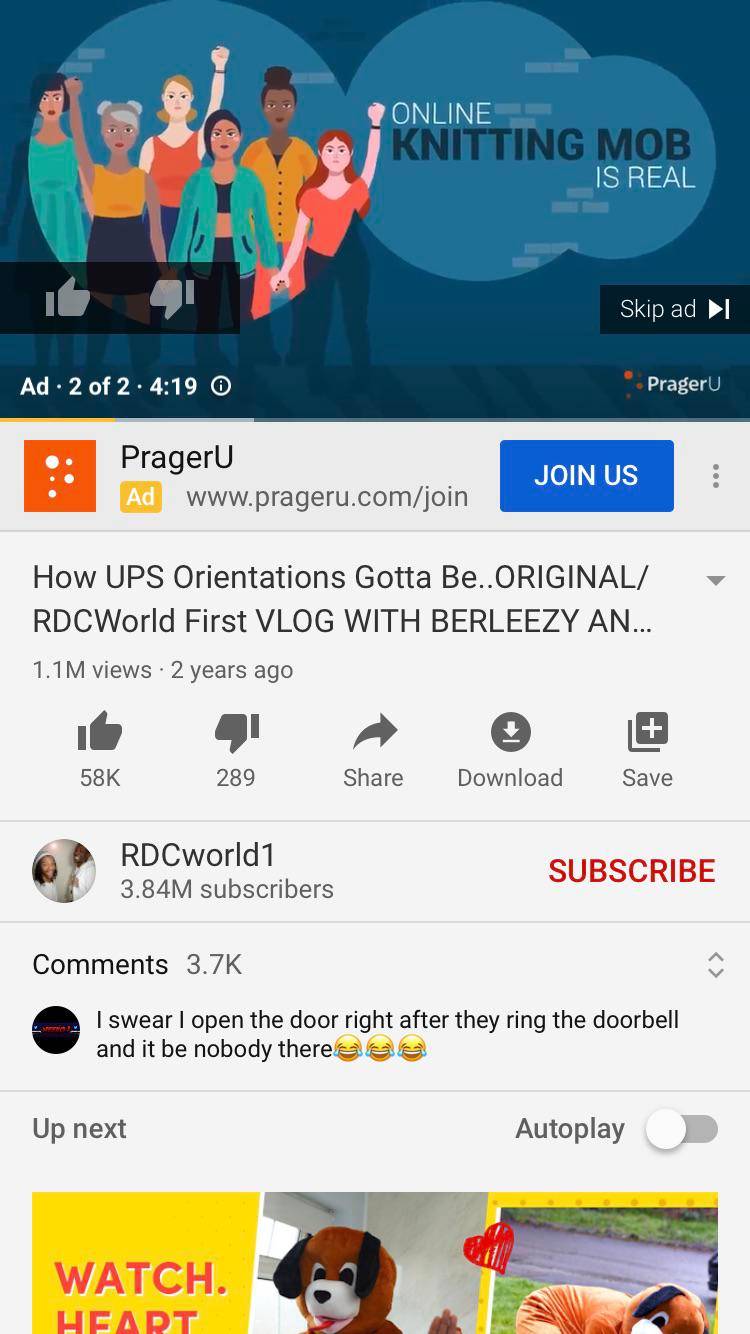 Forget Antifa | Scrolller