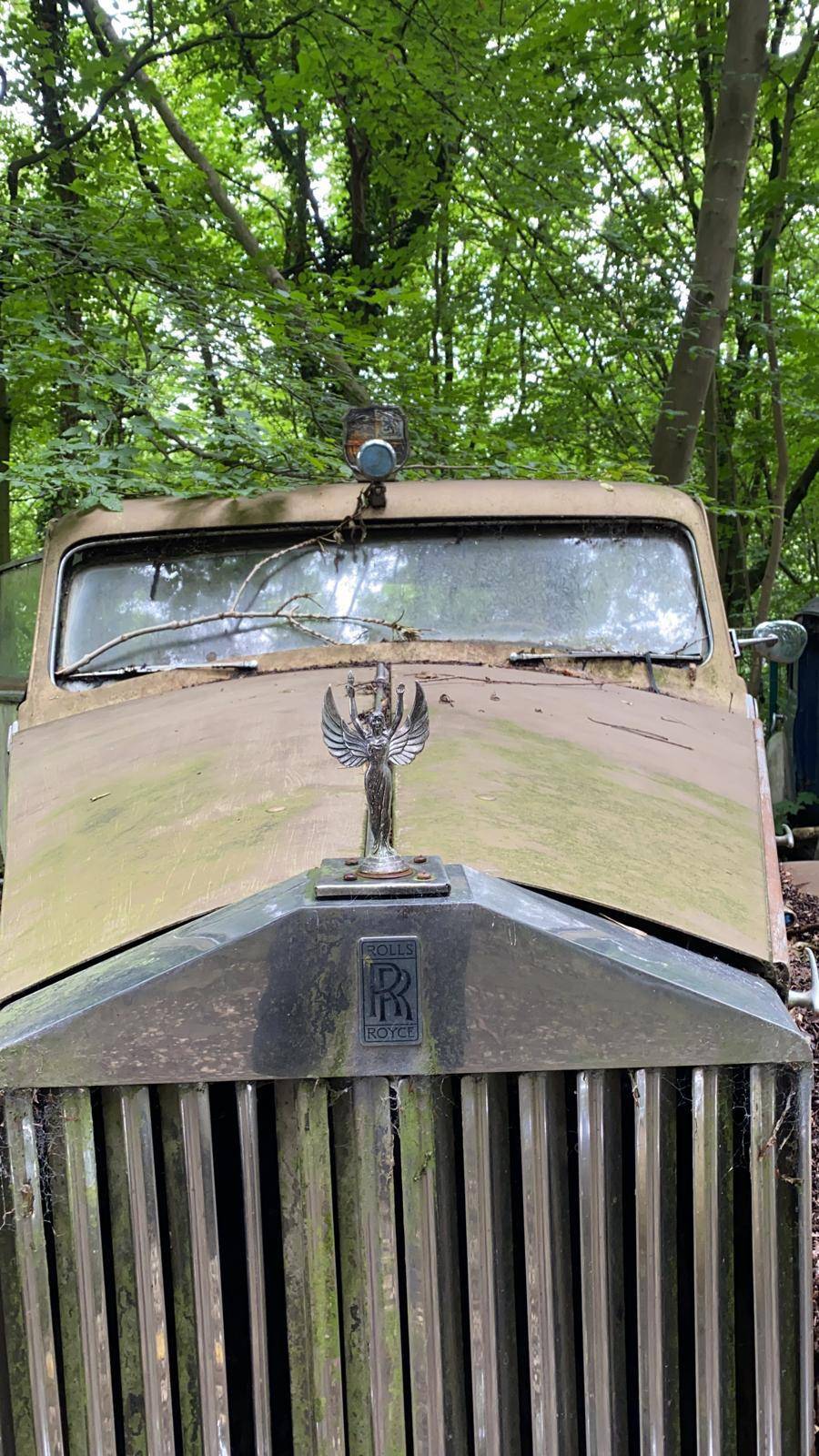 Forgotten | Scrolller