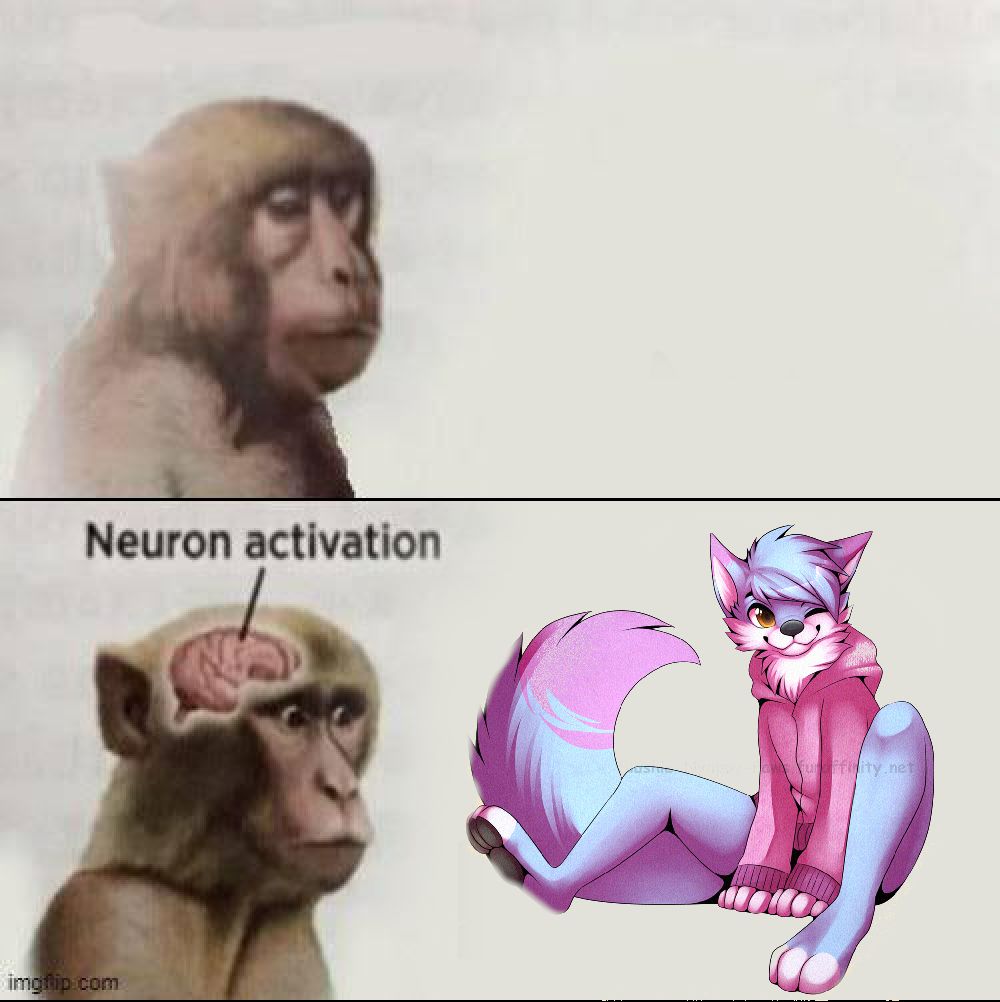 fox😳irl | Scrolller