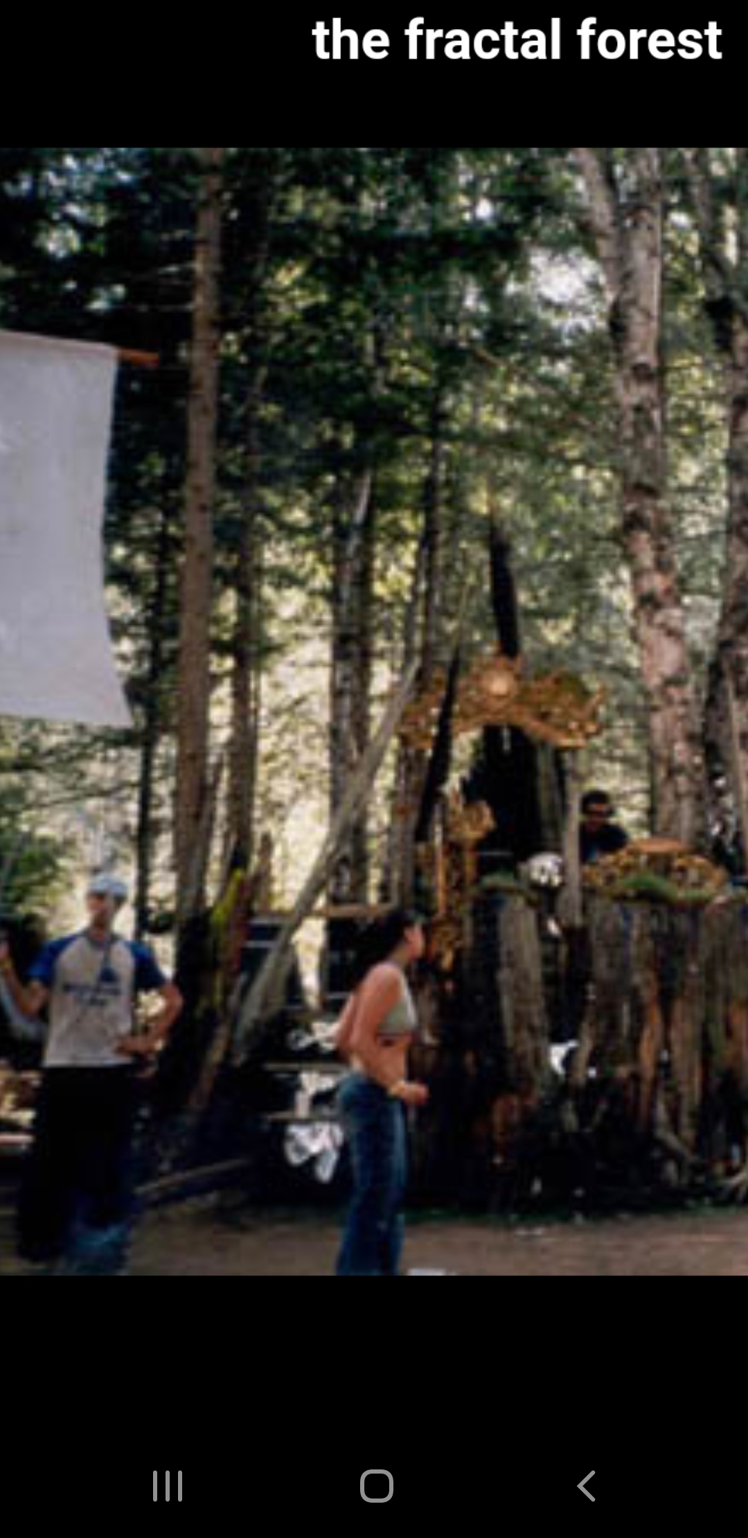 Fractal Forest 2001 | Scrolller