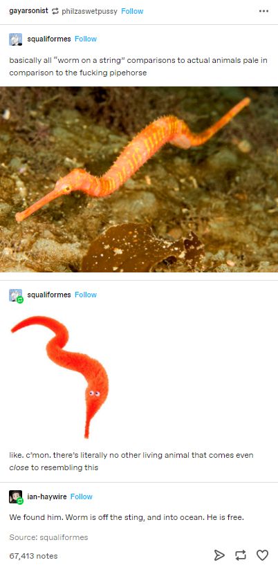 free the worm | Scrolller