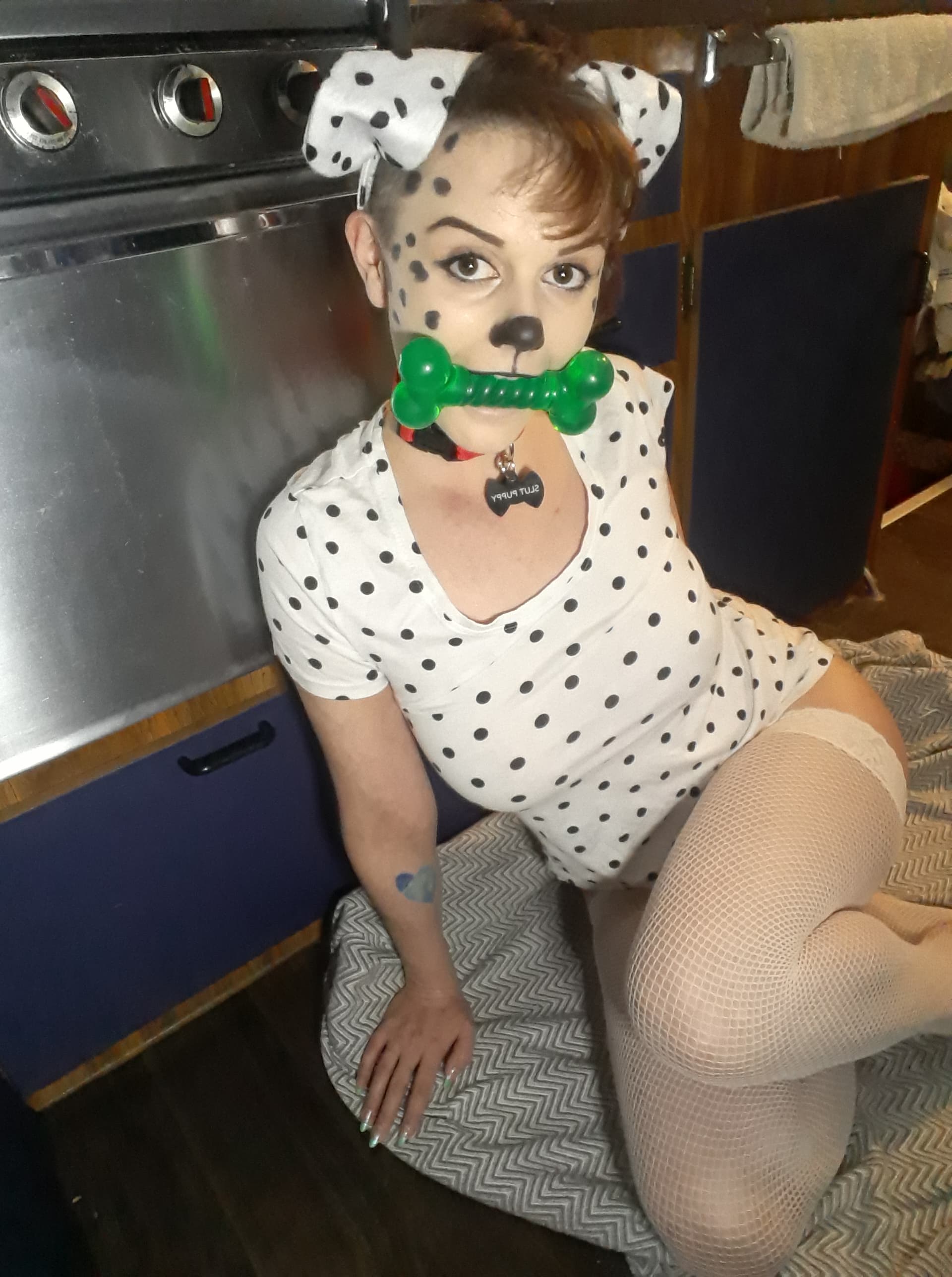 Lil puppy free to good home. Can't stop licking, loves to snack on big bones. | Scrolller