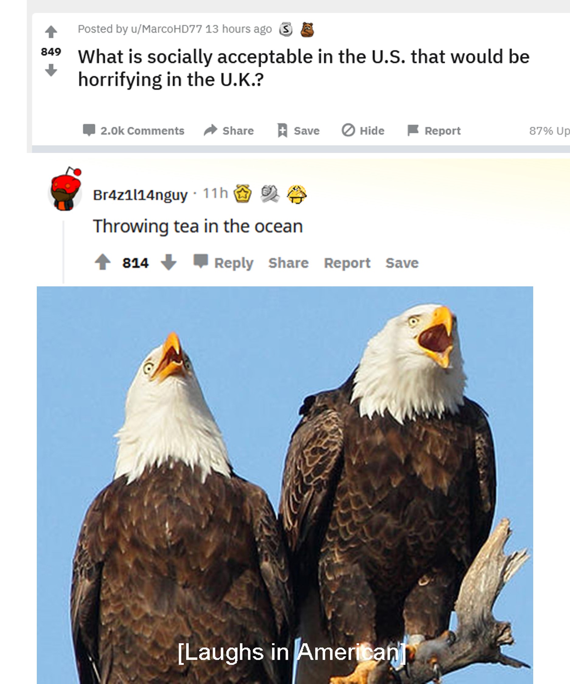 Freedom Intensifies Scrolller