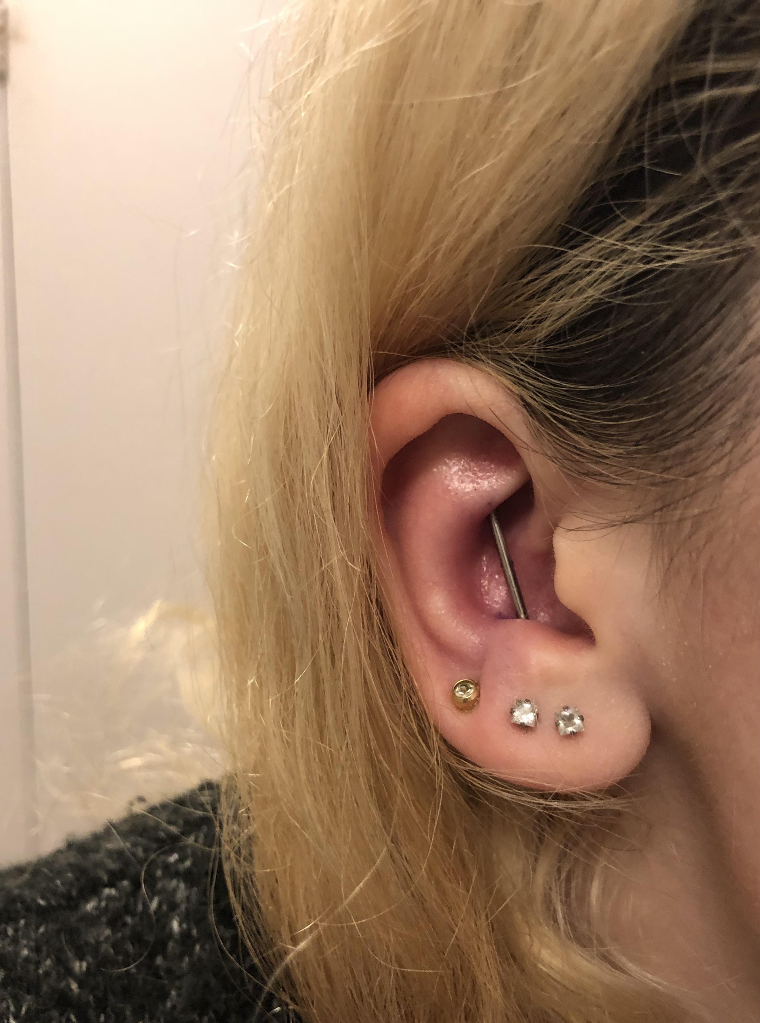 fresh conch to conch industrial!! | Scrolller