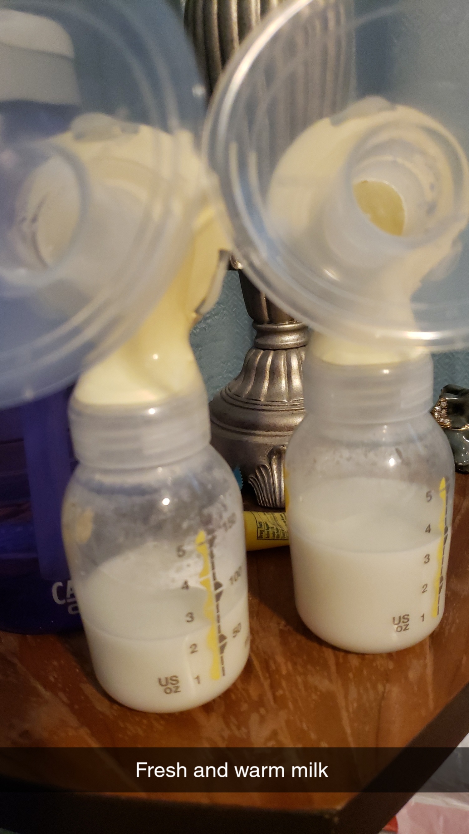 Fresh Warm Milk 😍 | Scrolller