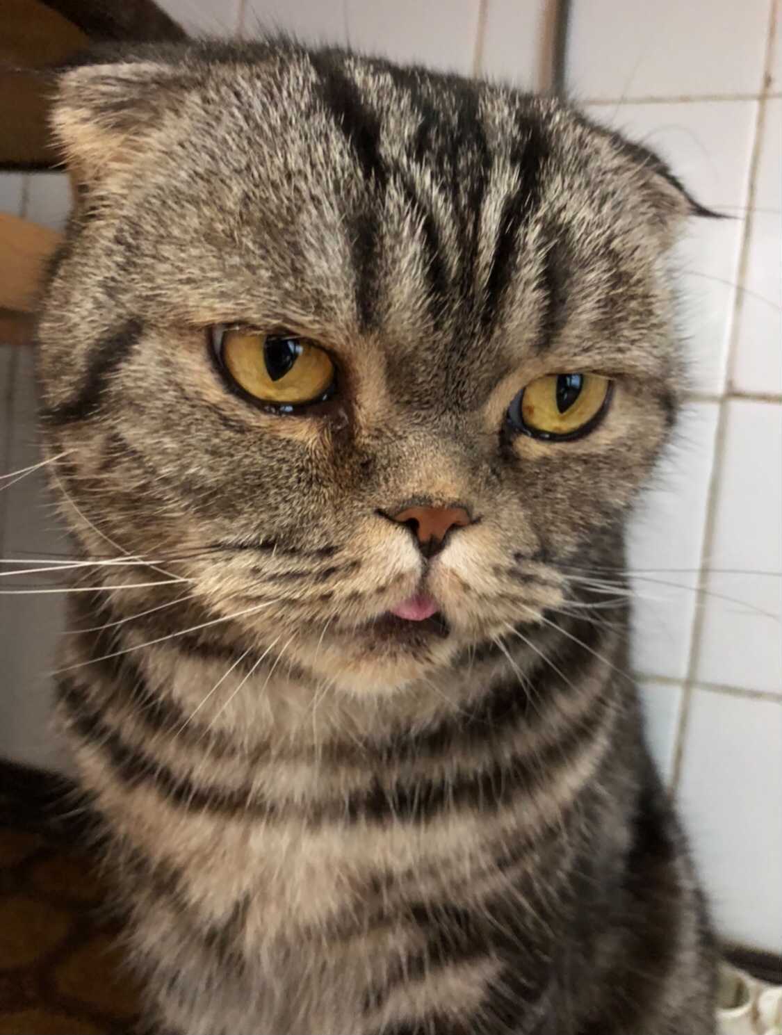 Friday... Finally!!! ))) | Scrolller