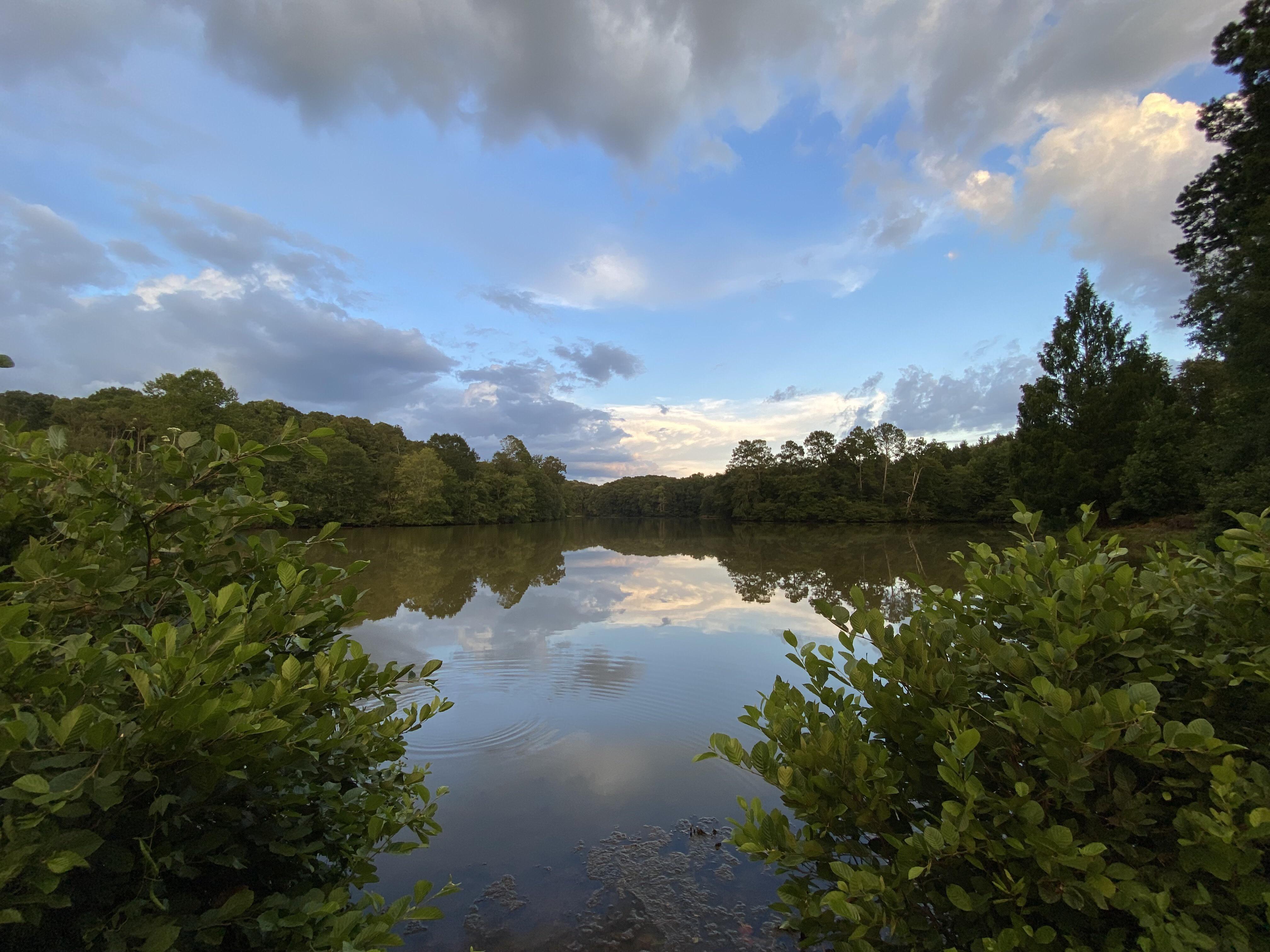 Friday Night, Athens, GA | Scrolller