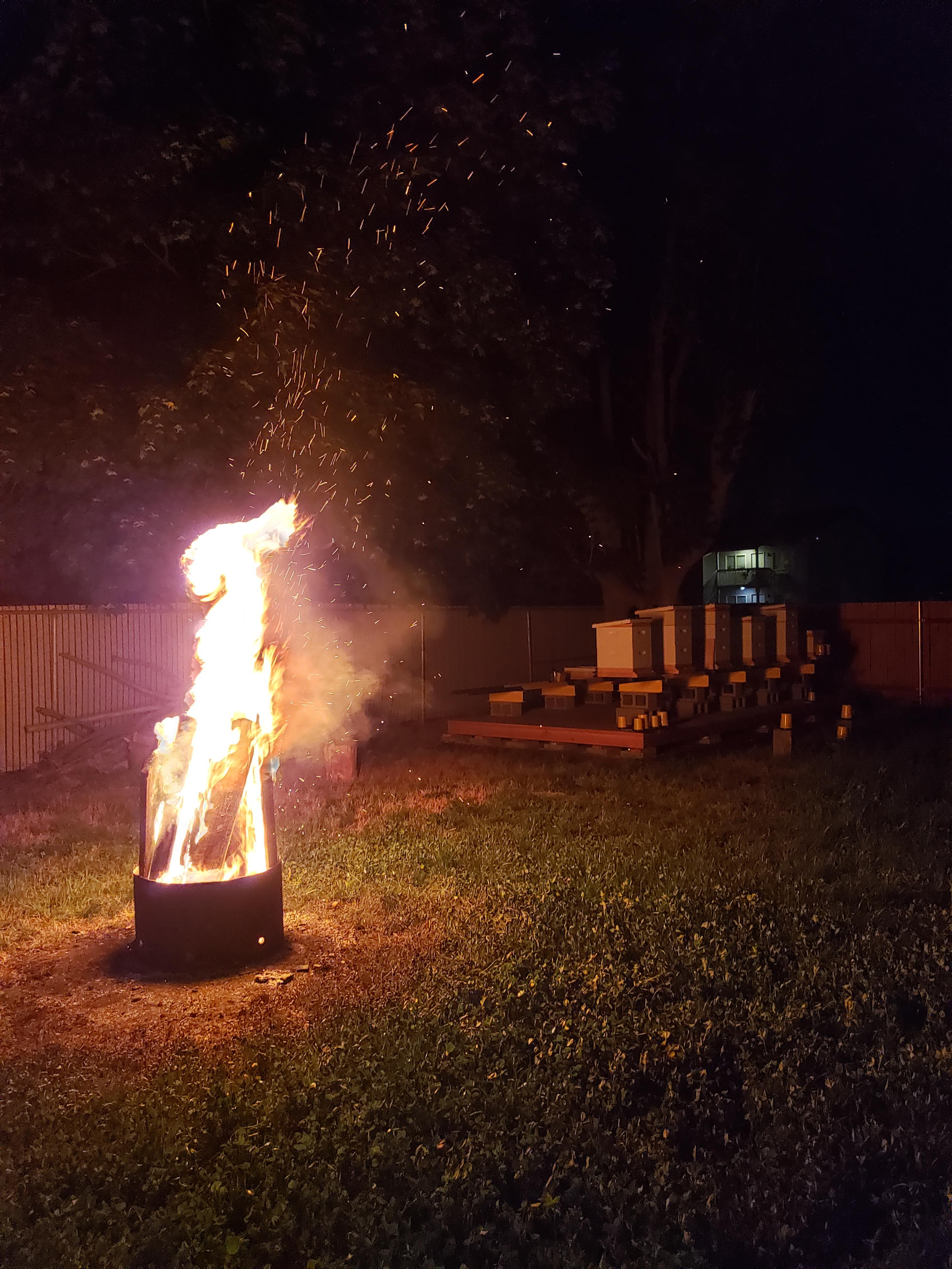 Friday night bonfire and bees! | Scrolller