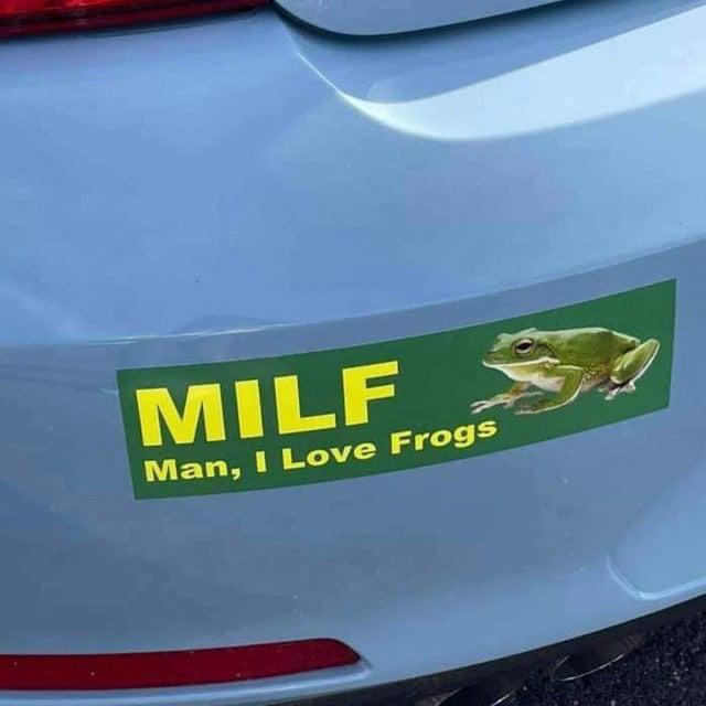 Frogs rule | Scrolller