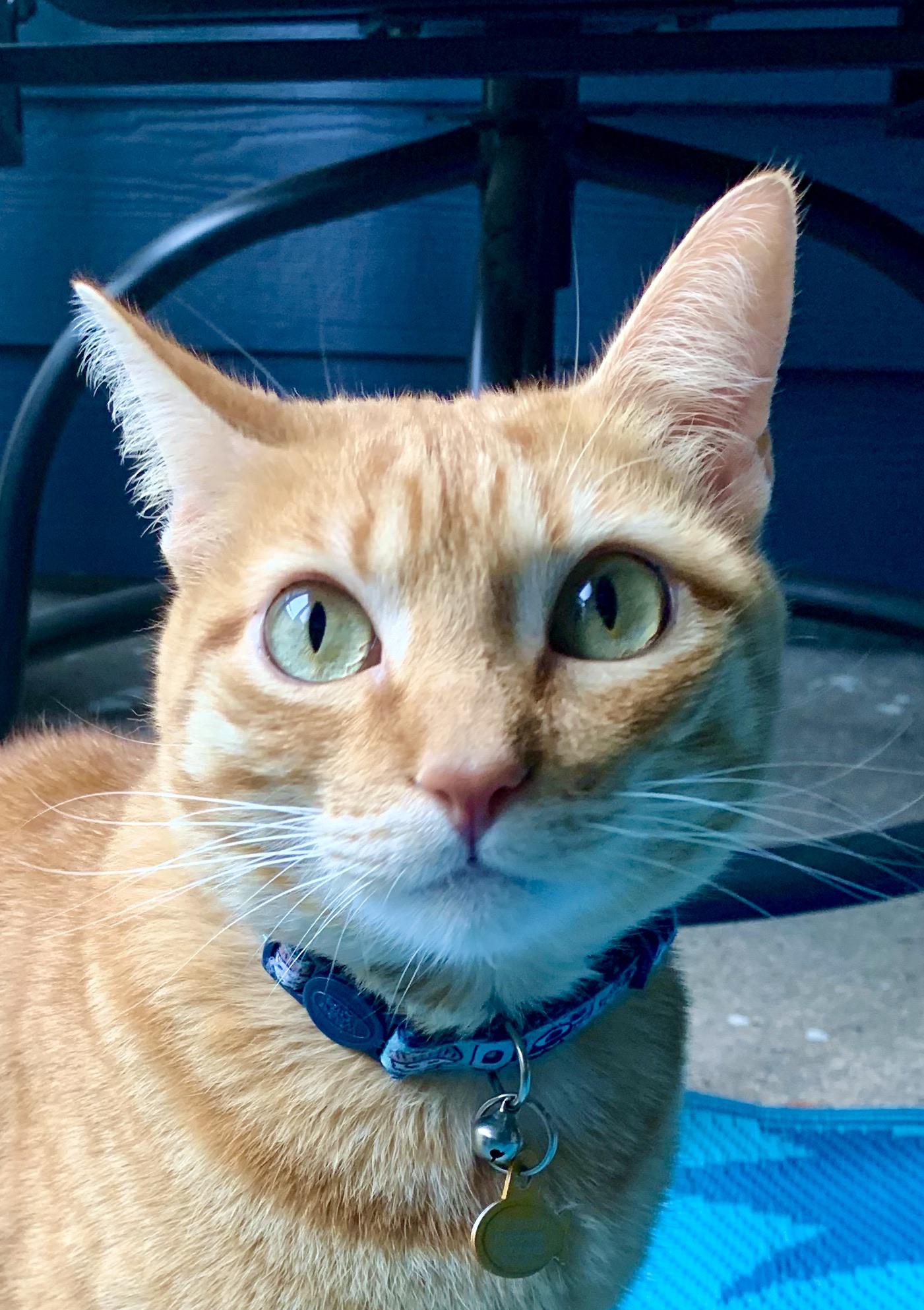 From Nikko’s impromptu photo shoot | Scrolller