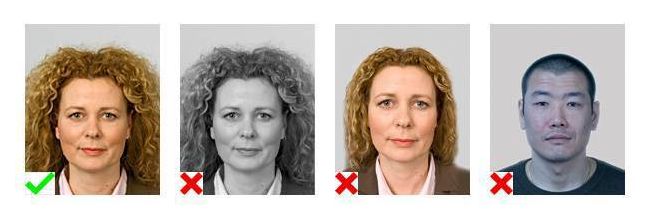 From the Dutch passport photo guidelines | Scrolller