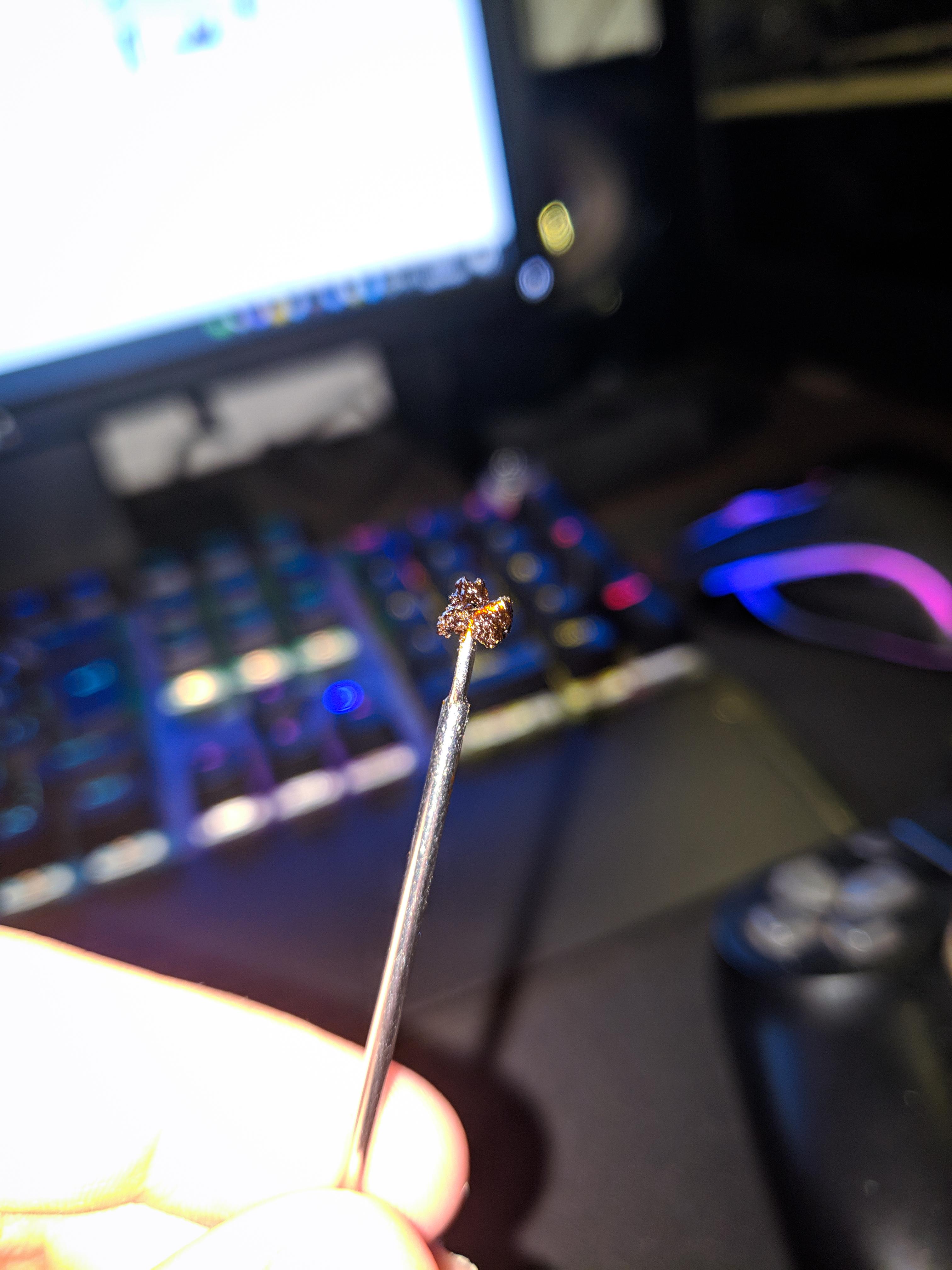 From the stem 🍁👽 | Scrolller