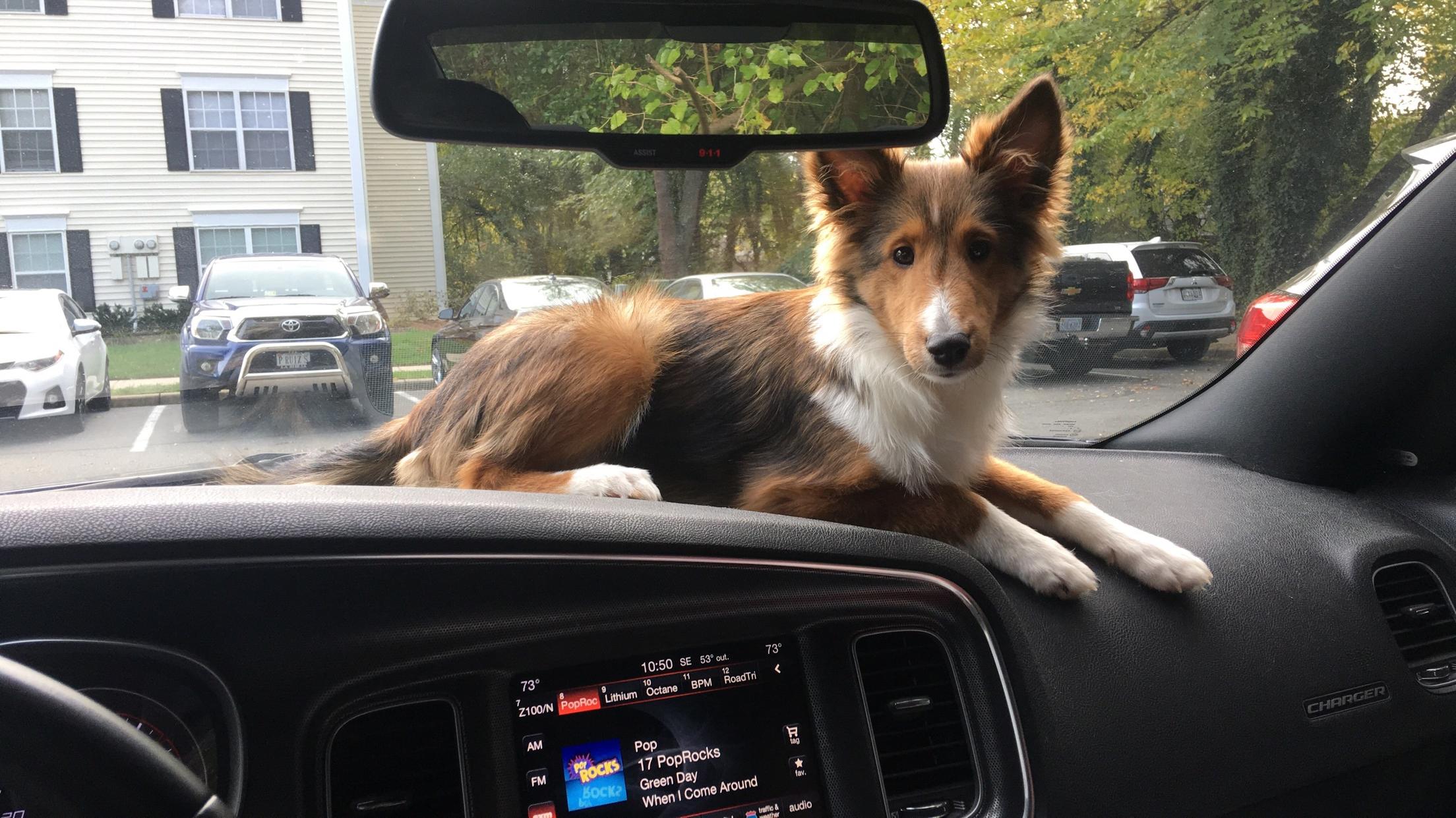 From when he was going through his rebellious stage | Scrolller