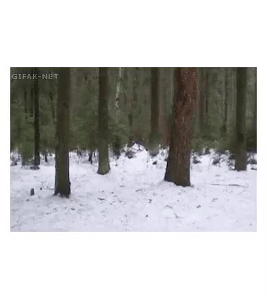 Frontflip | Scrolller