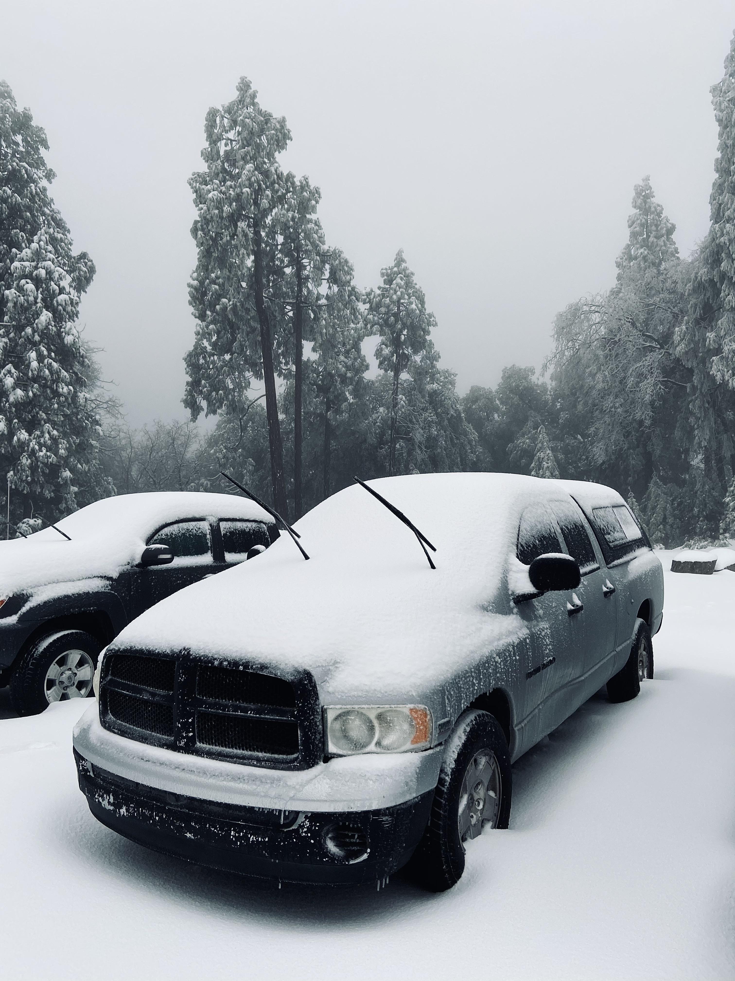 Frosty girl | Scrolller