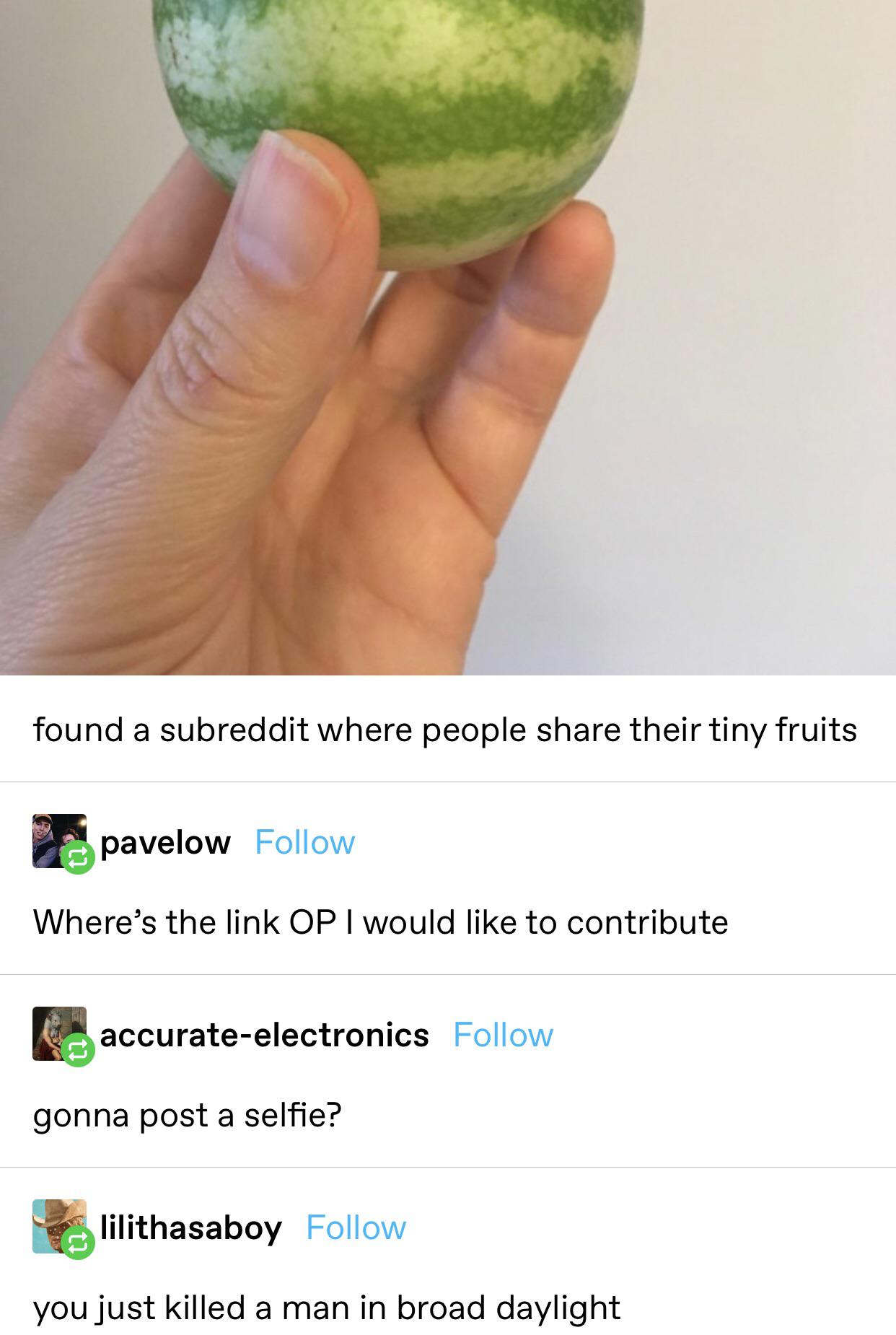 Fruit Murder Scrolller