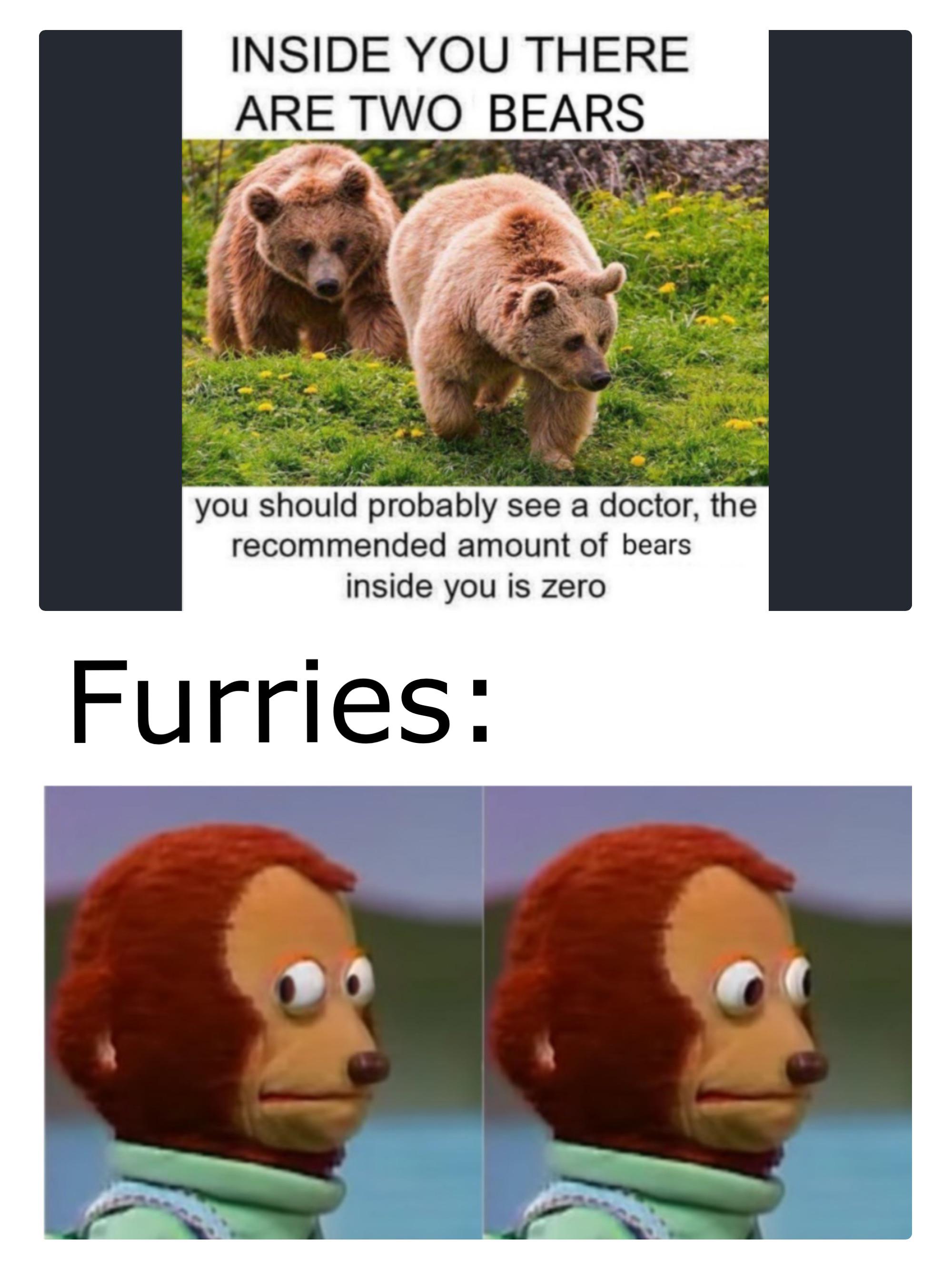 Fucking bears is not recommended | Scrolller