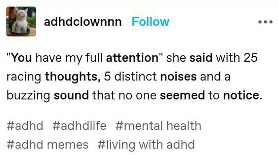 "full attention" | Scrolller