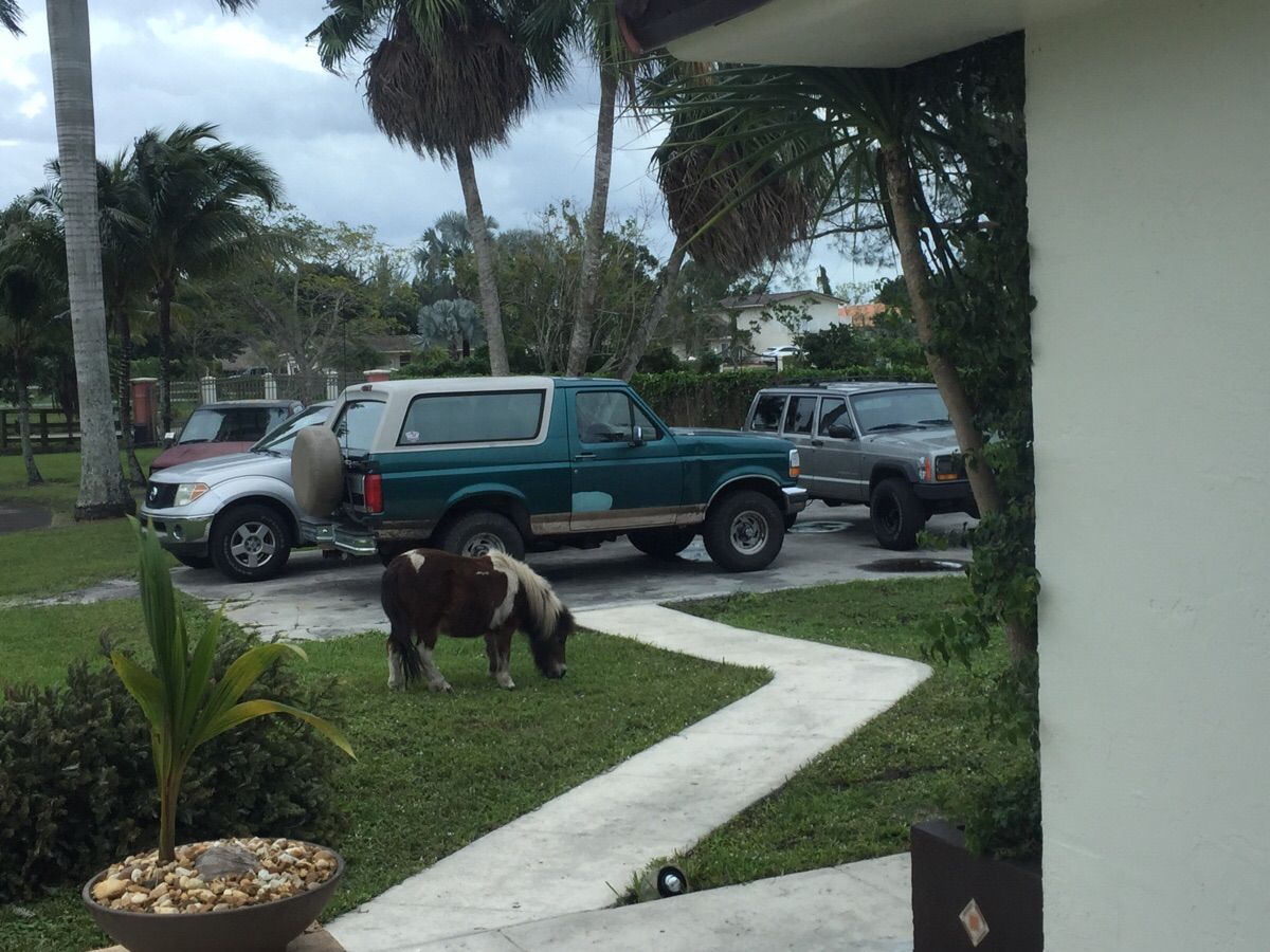 Full size Bronco next to Bronco II | Scrolller