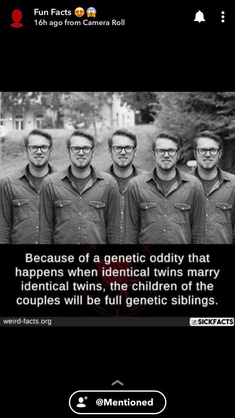 Fun fact | Scrolller