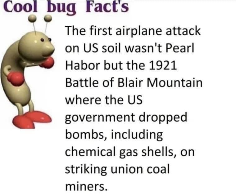 #funfacts | Scrolller