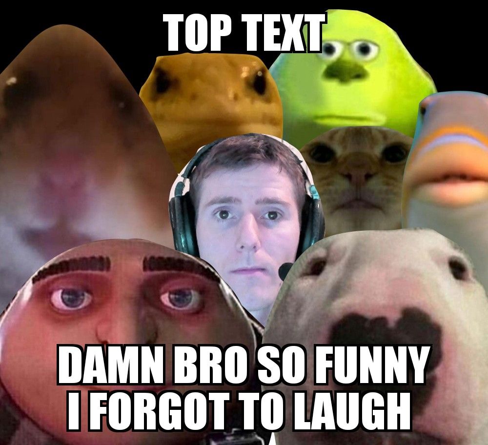 *Funny Caption* | Scrolller