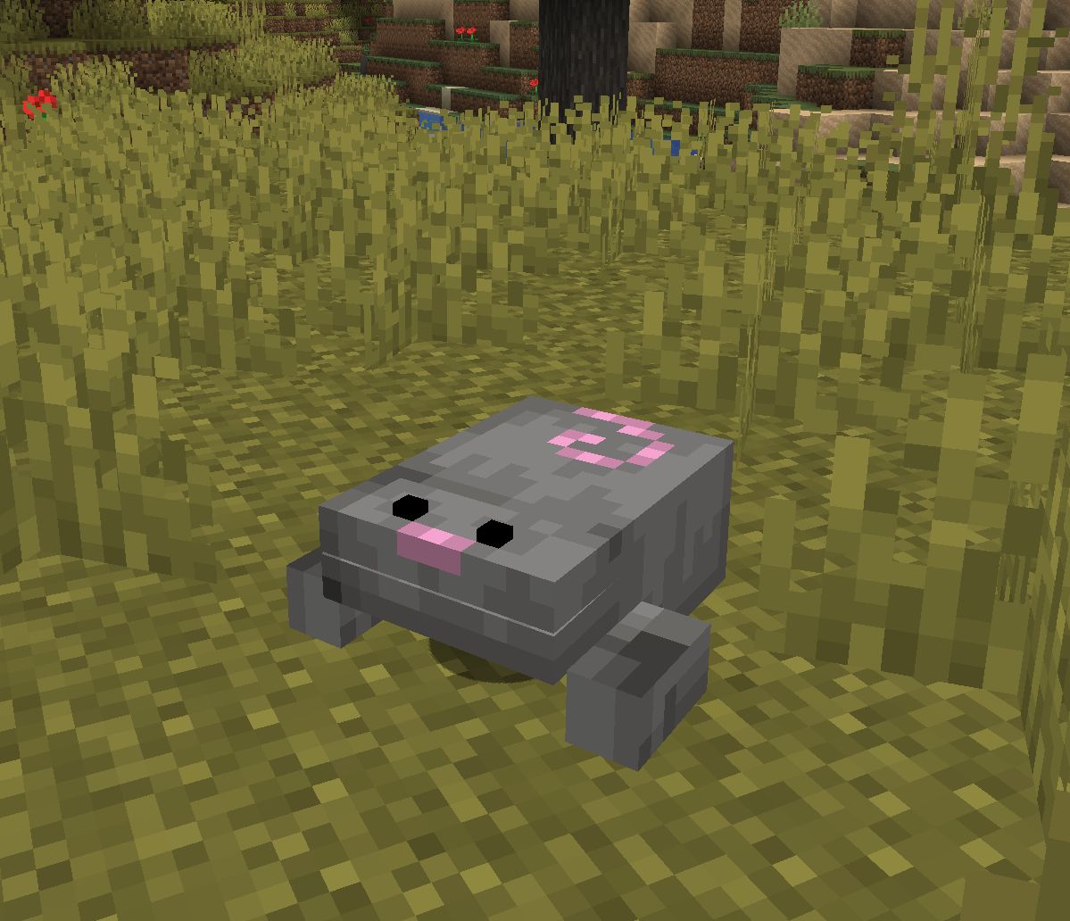 Funny Rat Frog | Scrolller