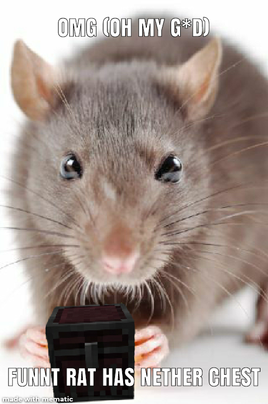 Funny rat mod has nether chest! | Scrolller