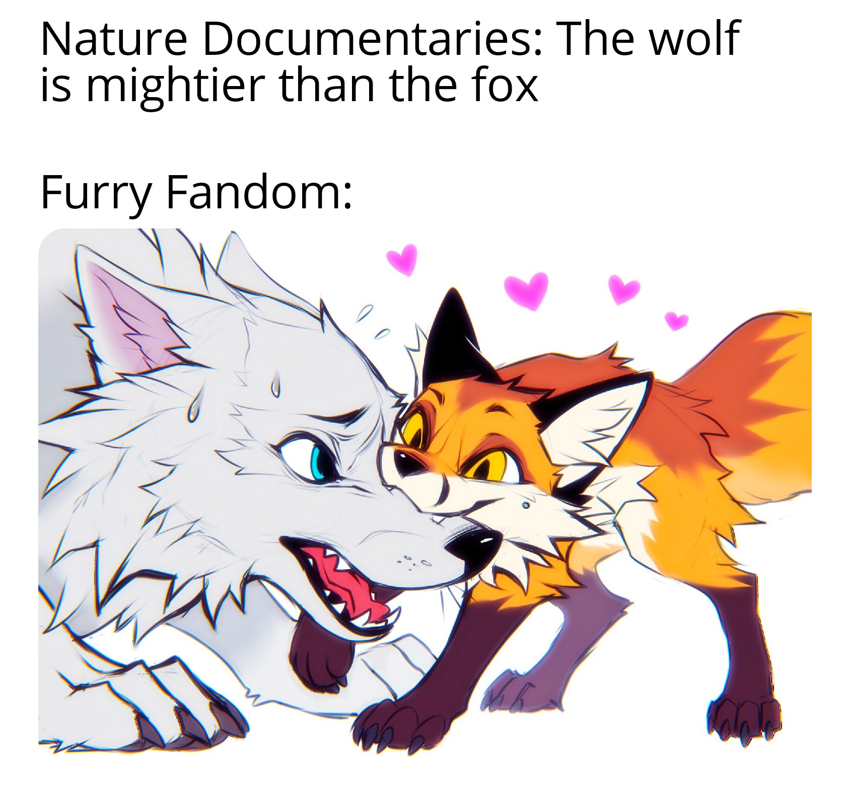 Furry_irl | Scrolller