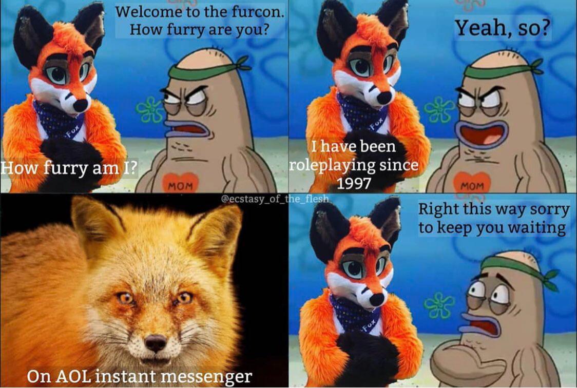 Furry_irl | Scrolller