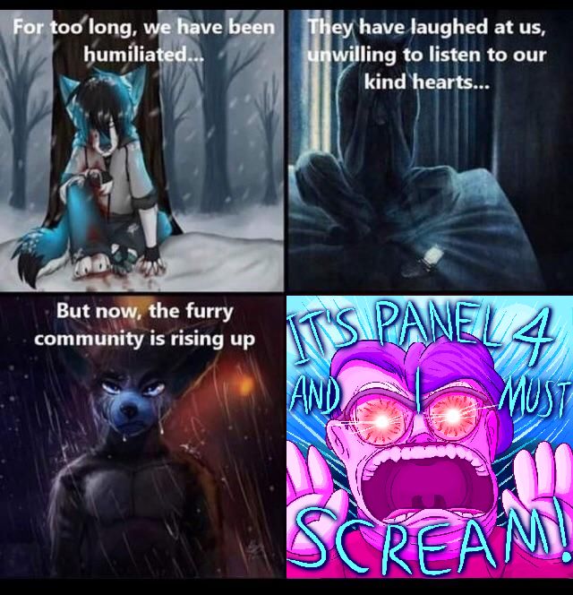 furry_irl | Scrolller