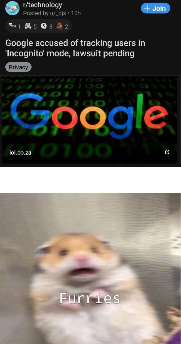 Furry_irl | Scrolller